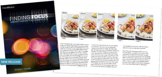 eBook review — Craft and Vision’s “Finding Focus” | Seldom Scene ...