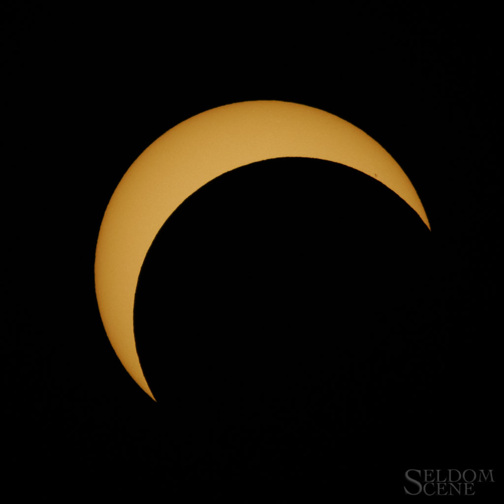 Fully partial | Seldom Scene Photography